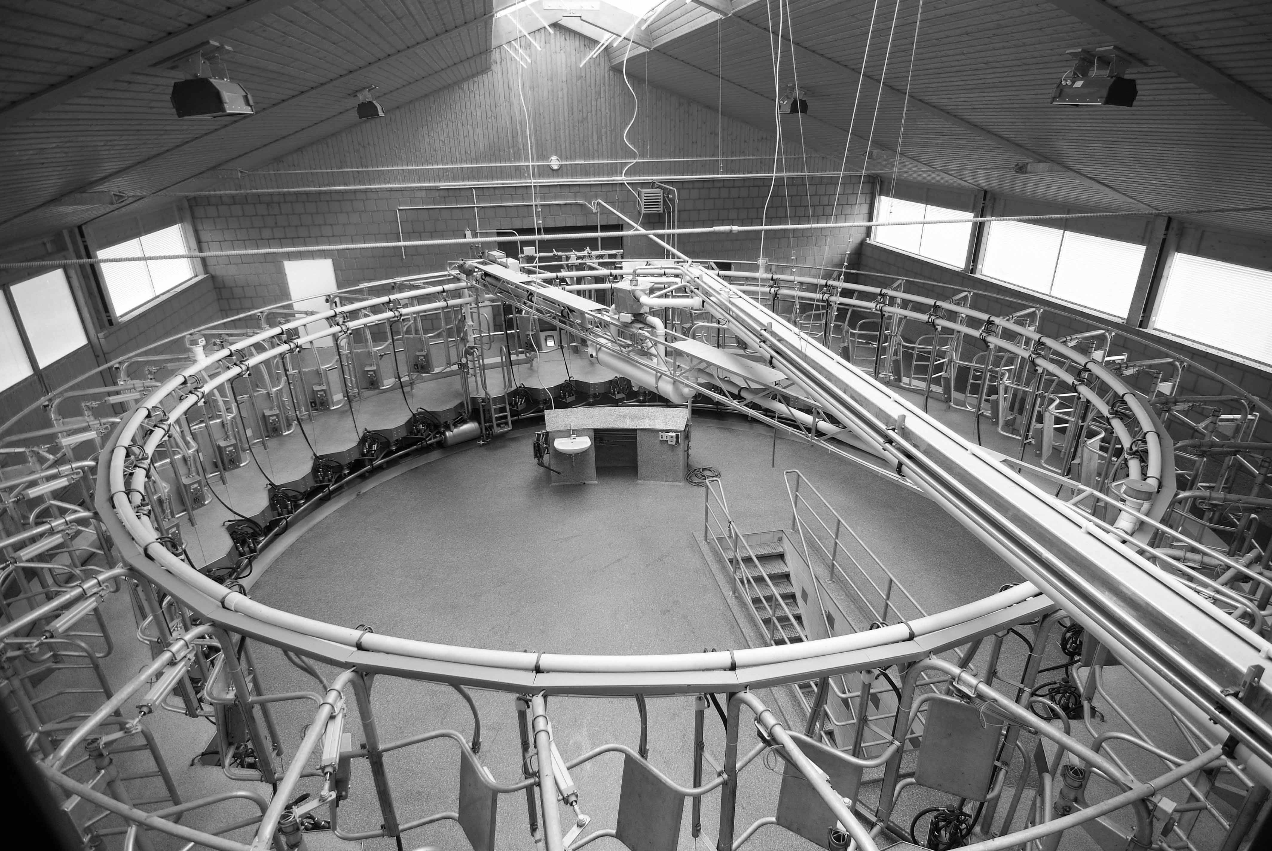 Silikal Photo Gallery